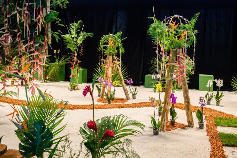 Découvrez les plus belles photos des Floralies Internationales